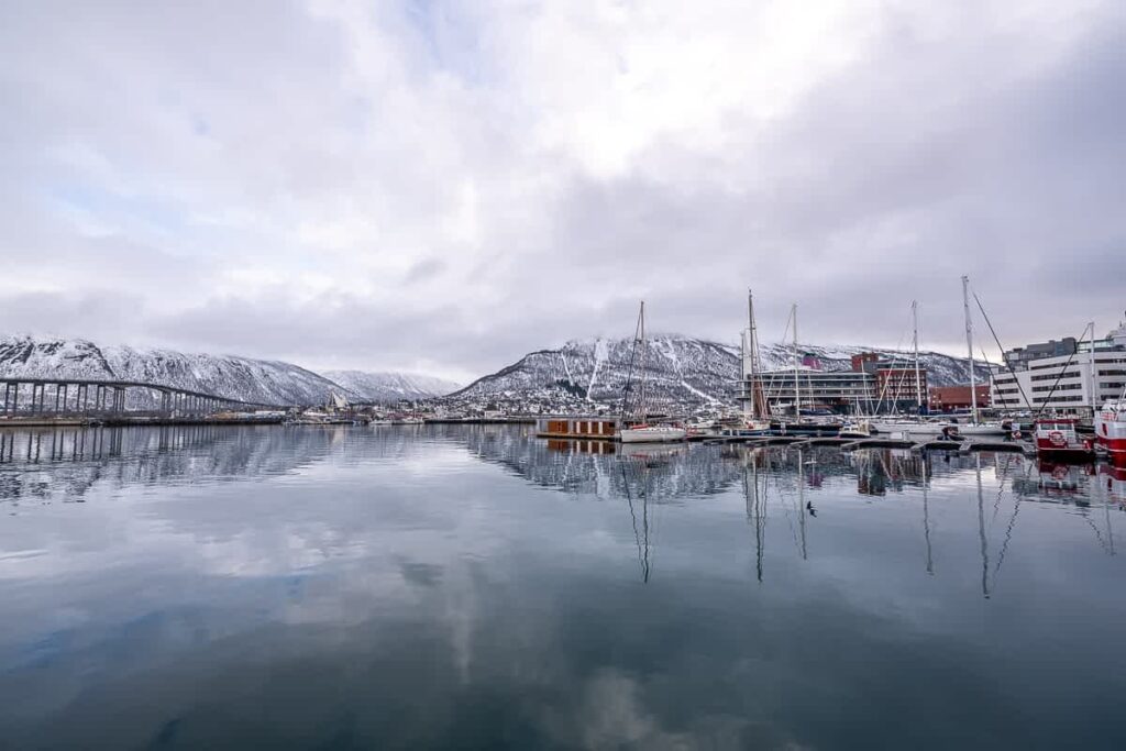 Tromso Northern Lights Guide - Best Aurora Borealis Tours