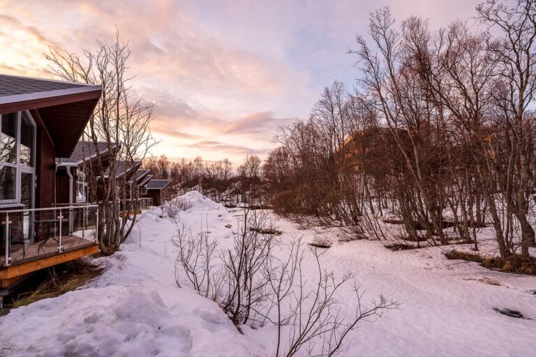 Tromso Northern Lights Guide - Best Aurora Borealis Tours